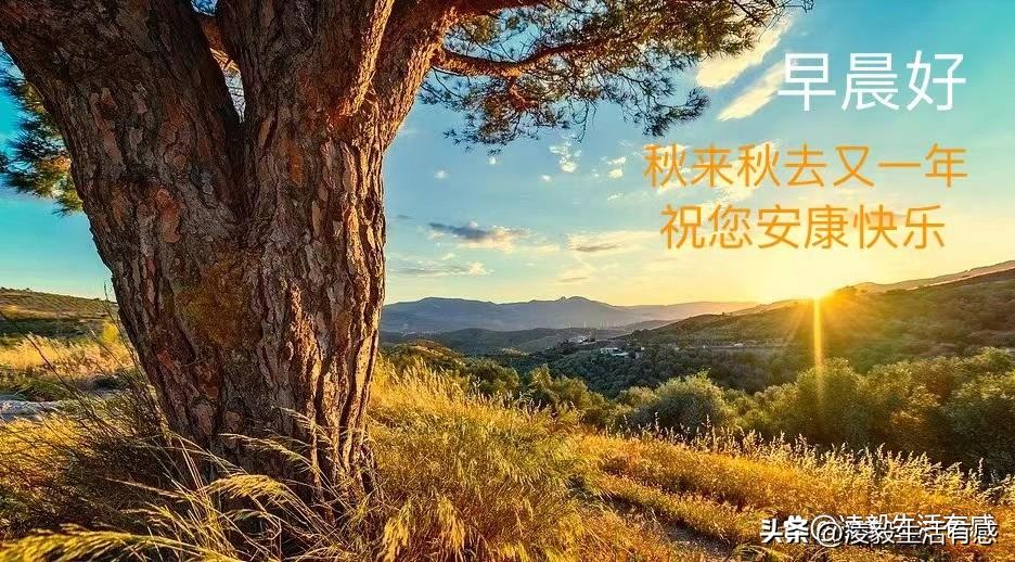 Impressions from reading history books - "Zou Rong" - iNEWS