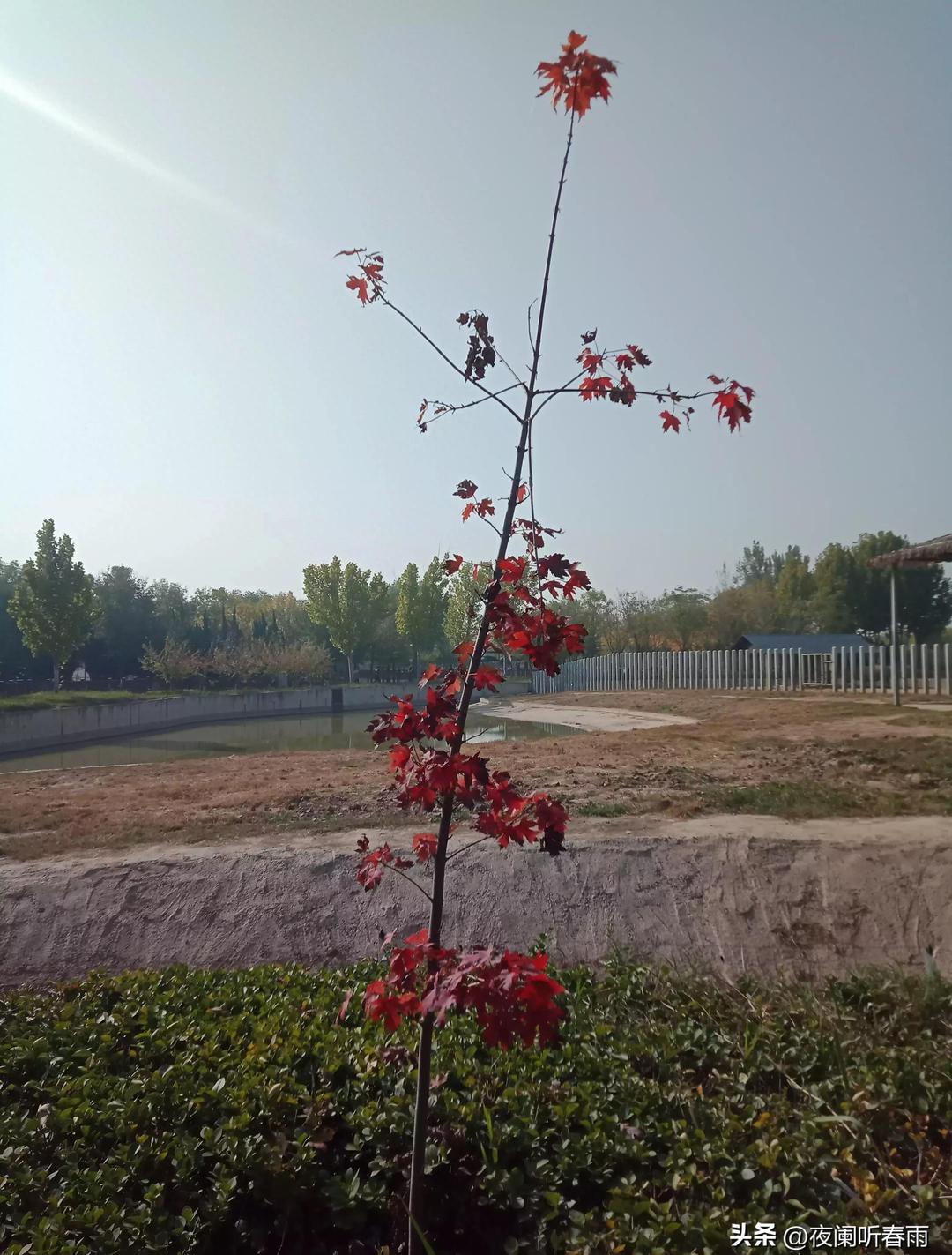 Shocking review: 1998 military competition, Top Gun! - iNEWS