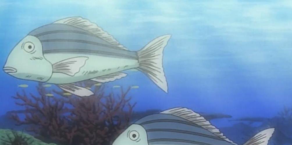One Piece: What exactly is ALL BLUE? - iNEWS