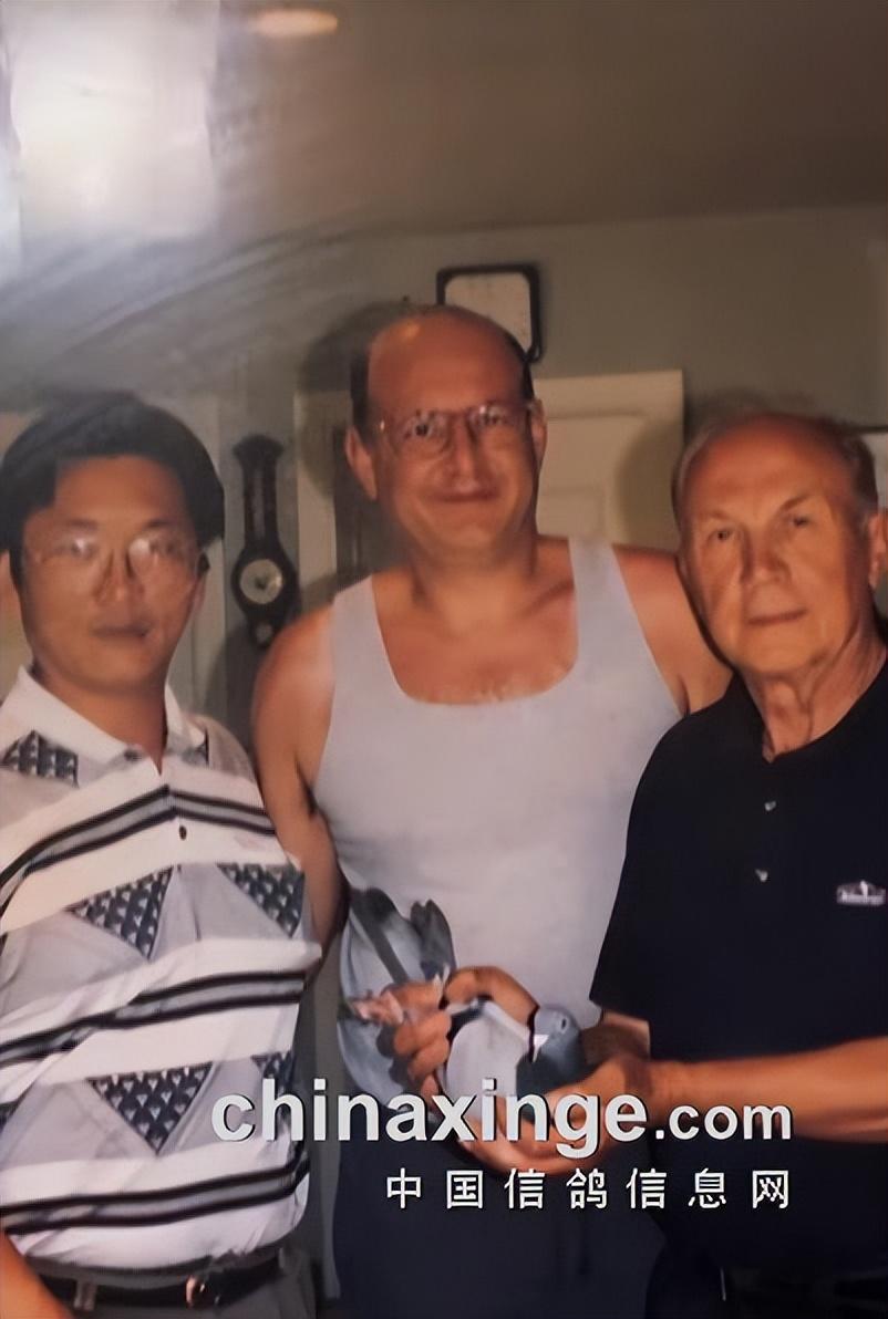 Pigeon racing is about escaping. Exclusive interview with “Da Maotou ...