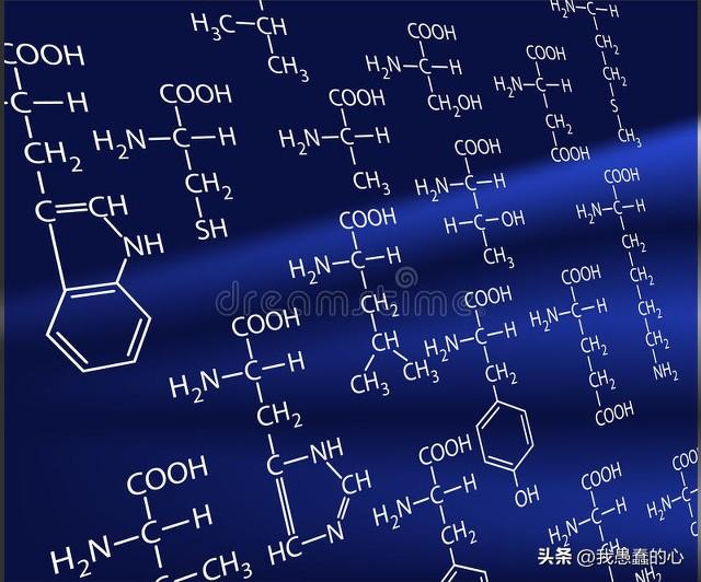 Life continuation-the ultimate life form for human beings to travel in ...