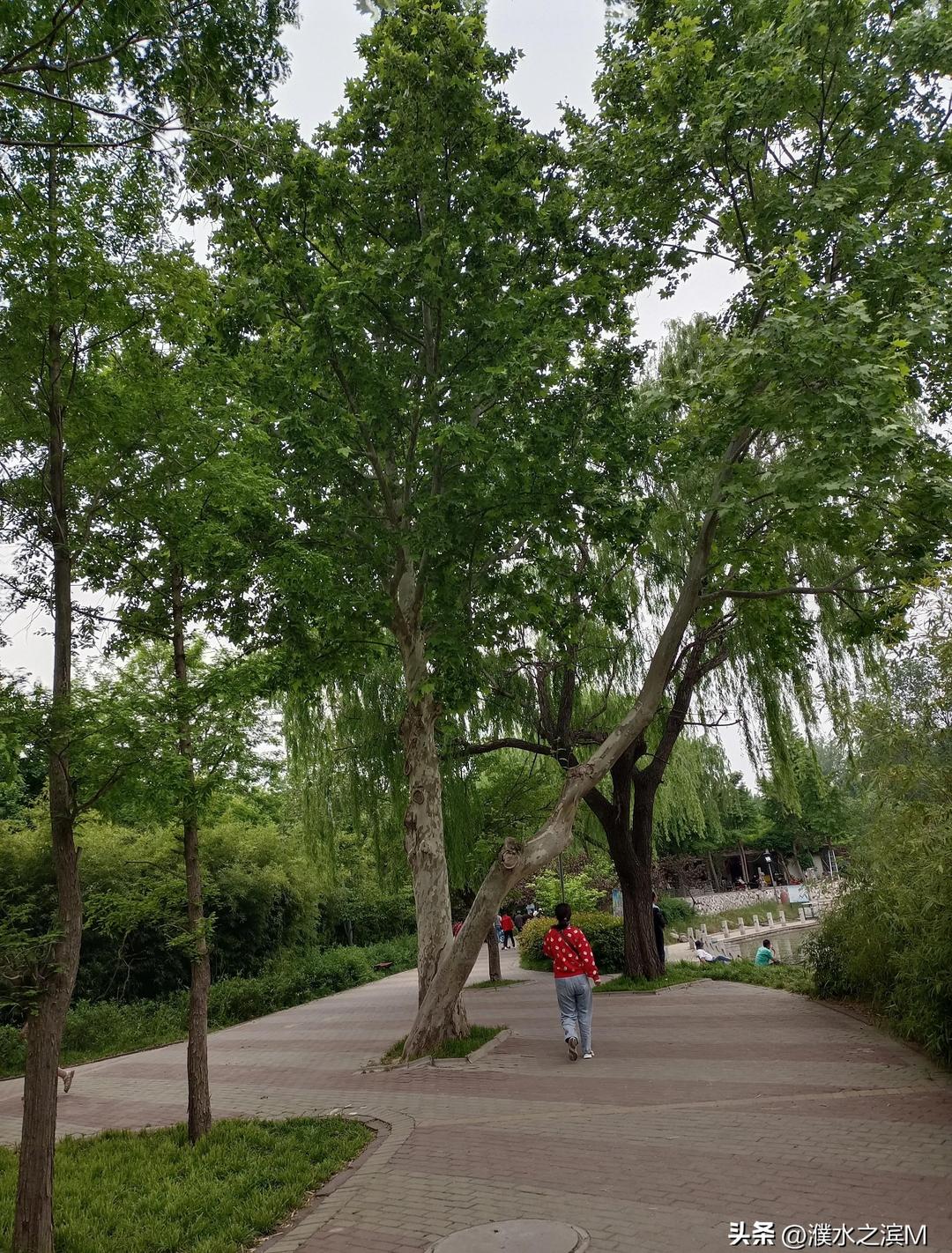 Two tips for typing long articles efficiently - iNEWS