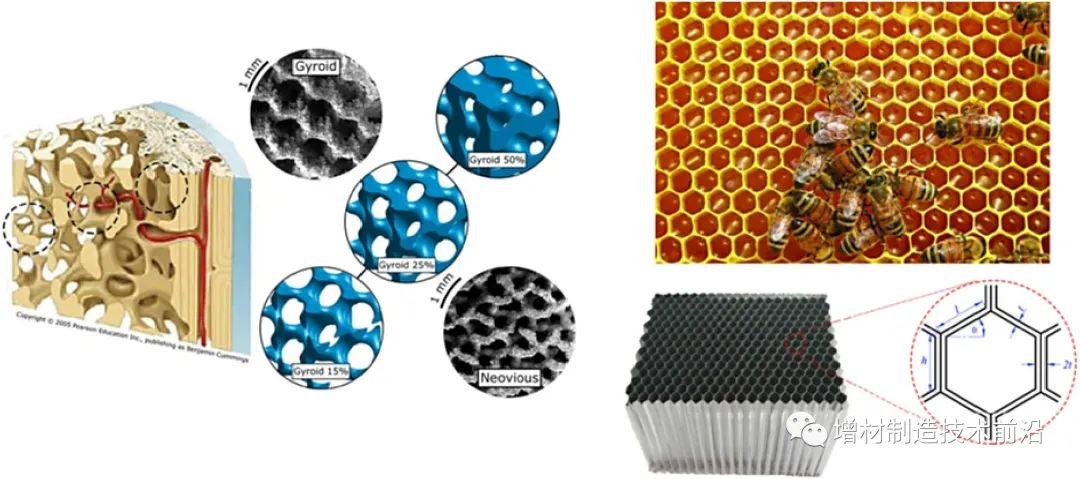 A review of 3D printed lattice structures: lattice types, materials ...