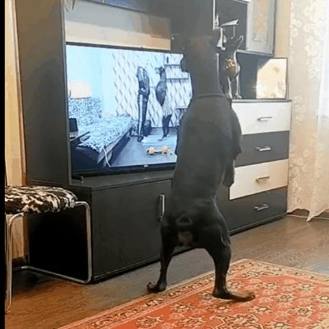 30 pictures show you things you have never seen before. I wouldn't ...