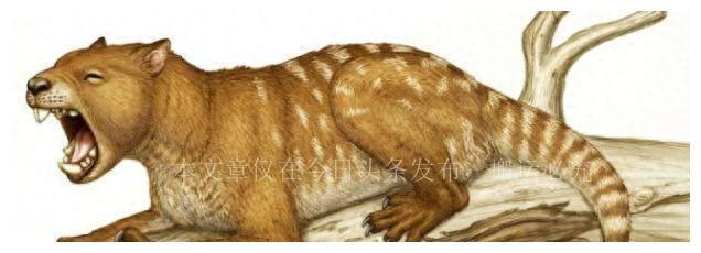 Humans really have no natural enemies? There was an animal that fed on ...