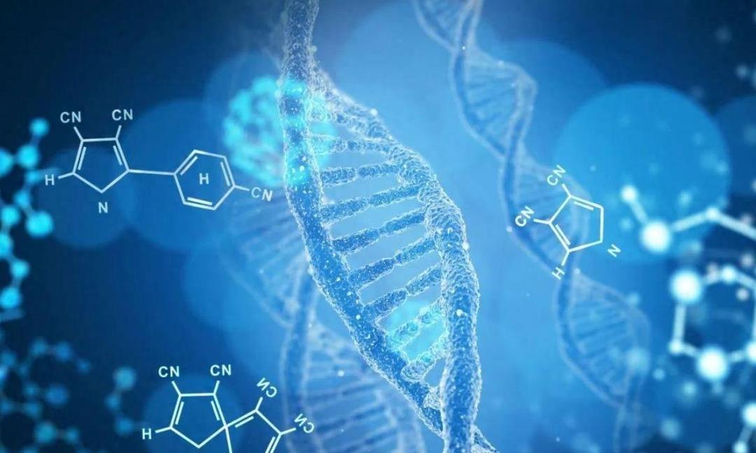 How harmful is inbreeding? This is a "curse" from genes that cannot be ...