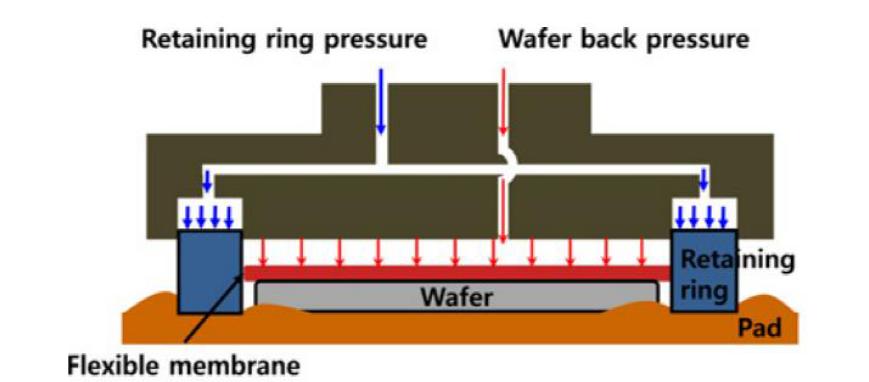 cmp polishing head (head) - iNEWS