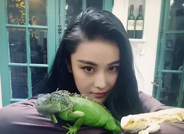Which celebrity pet is stronger: Zhang Xinyu raises lizards, Li ...