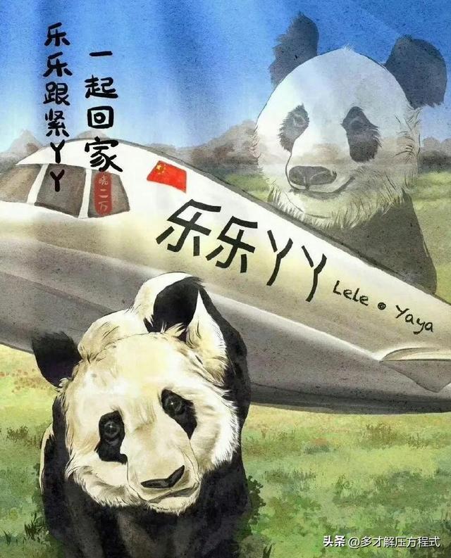 As expected, Yaya is back home! "——Remembering the homecoming of the ...