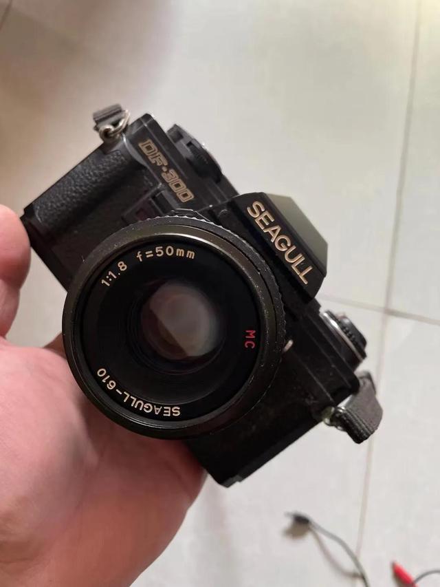 seagull camera - iNEWS