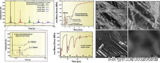 Coarsening of Multi-Generation Twin Martensite in Laser Added Ti6Al4V ...