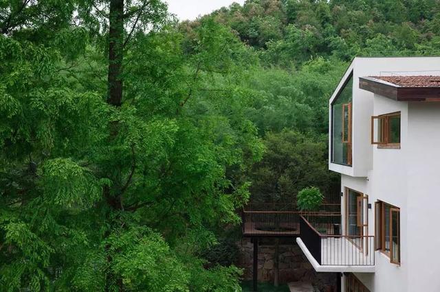 8 Modern Minimalist Homestay Designs - iNEWS