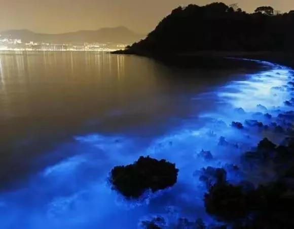 Lion Island Double Moon Bay - iNEWS