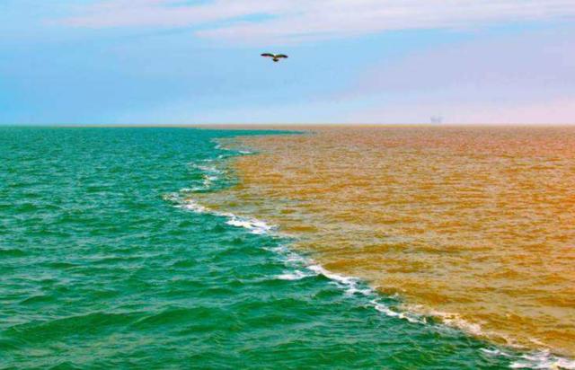 It's all sea water, why are the Yellow Sea and the Bohai Sea "clearly ...