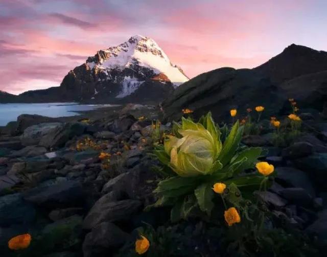 time is gone - iNEWS