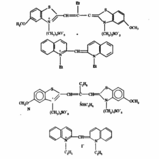 Cyclic cyanine dye/NIR-I region cyclic J-aggregate labeling/cyanine dye ...