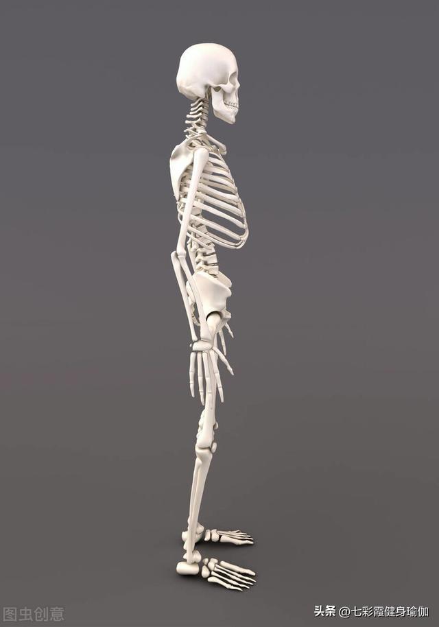 Key points of bladder meridian related knowledge of Yin yoga for ...