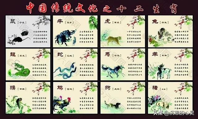 Chinese Zodiac Culture - iNEWS