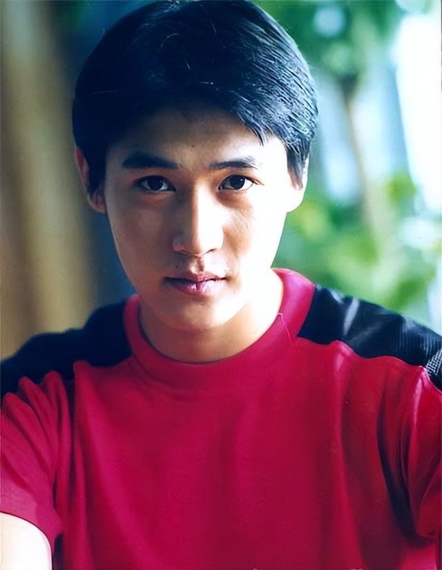 Lu Yi, the most handsome mainland actor at the end of the last century ...