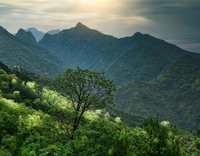 Spring scenery of Guifeng Temple in Zhongnan Mountain - iNEWS