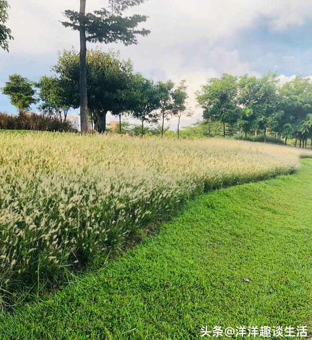 How to deal with the attack of "autumn fatigue", it is time to nourish ...