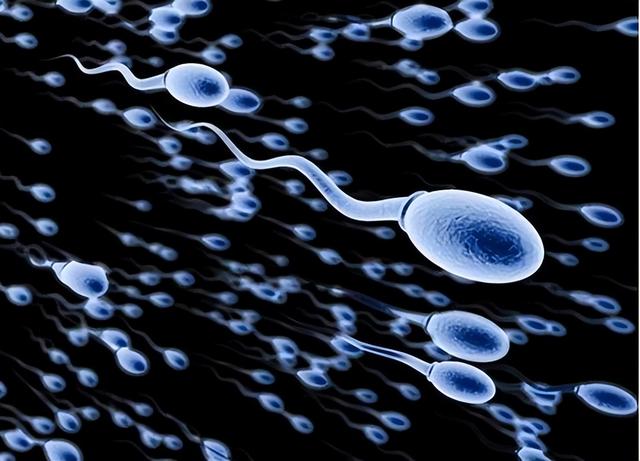 One drop of sperm is equal to ten drops of blood?Will too many sperm ...