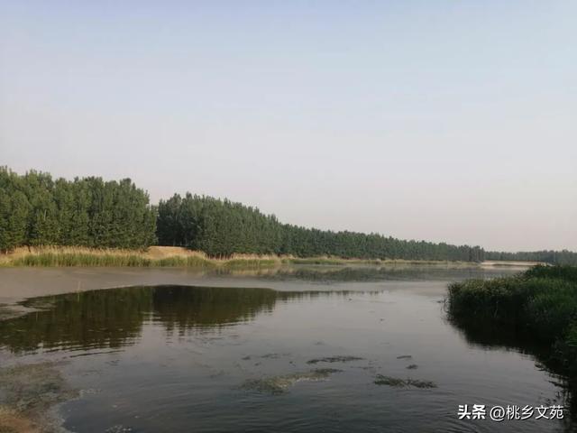 "Original" Wang Qingji: Strange, Ingenious, Interesting Selections (36 ...