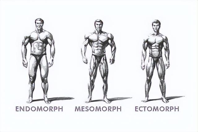 Endomorph, mesomorph or ectomorph?"Body Type Taxonomy" and Sports ...