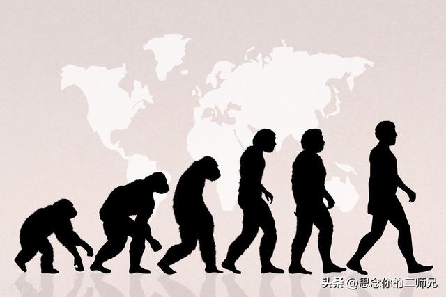 Did humans evolve from monkeys? - iNEWS