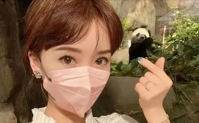 Li Nian's recent photos look like Lin Chiling and were accused of ...