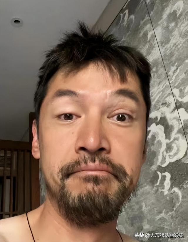 Hu Ge's late-night selfie revealed his haggard face, feeling sorry for ...