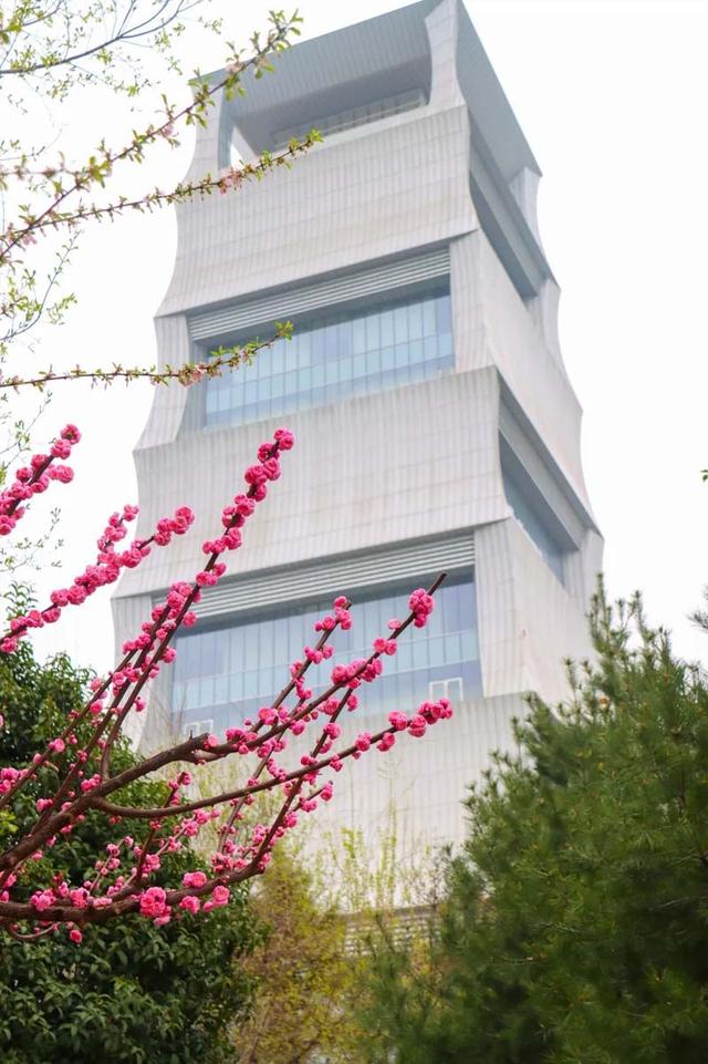 Yu Yemei is in full bloom and fighting for spring - iNEWS