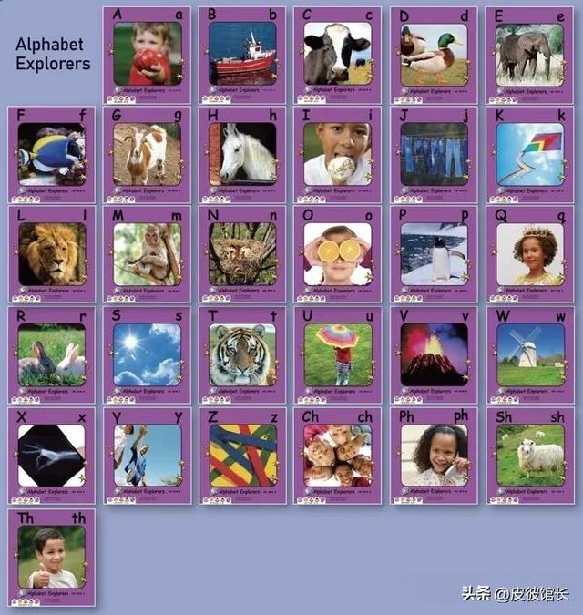 Super Detailed Interpretation: Red Rocket Graded Reading Picture Book ...