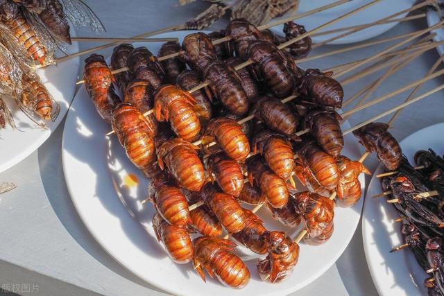 How many kinds have you eaten? Chinese Weird Food: Surprises and ...