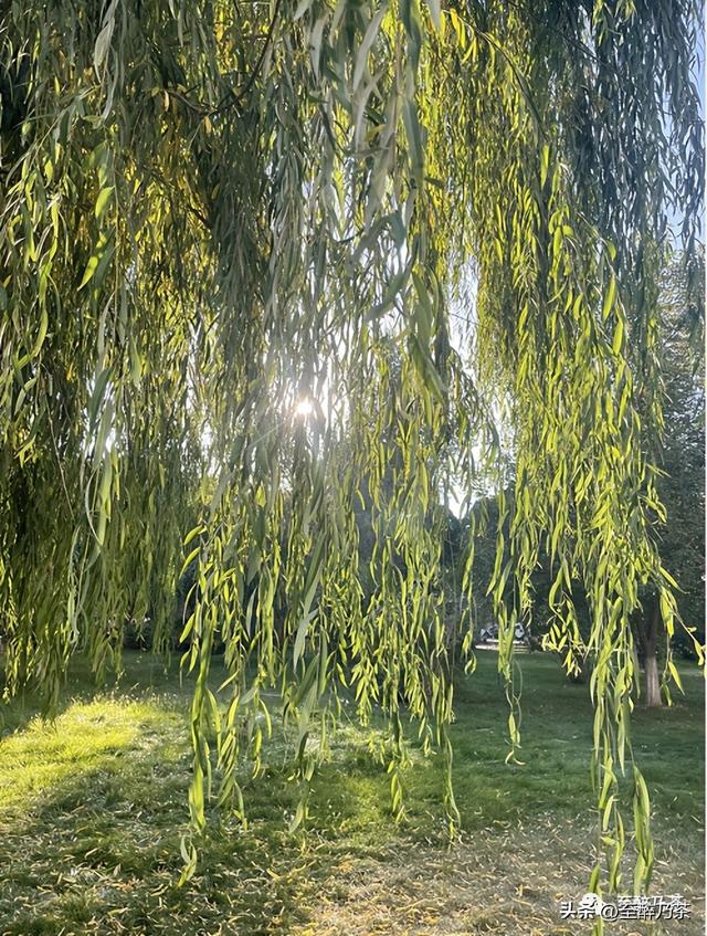 Xinjiang: Soviet-style Architecture in the Cracks of Modern ...