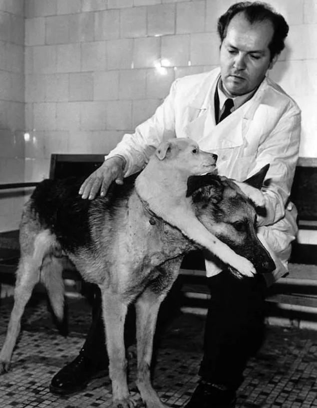The Most Controversial Surgery of the 20th Century - How Soviet ...