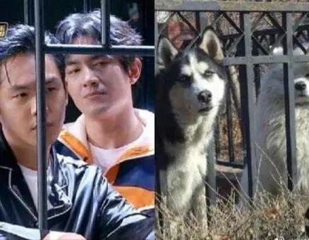 Yan Min's new comprehensive "New Travel Notes" has been changed to "New ...