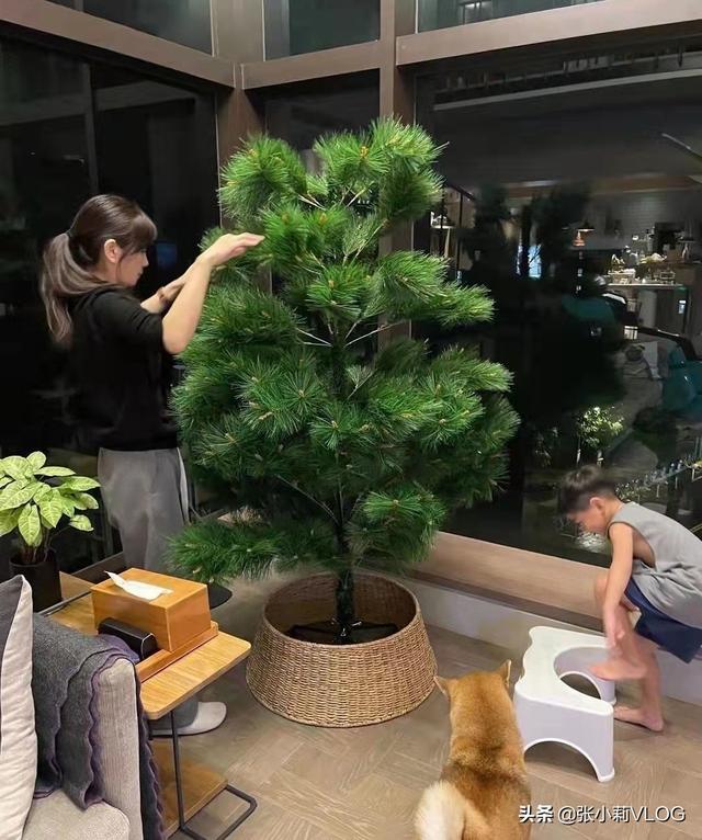 Ella and her son arranged a Christmas tree, and the family's over 100 ...