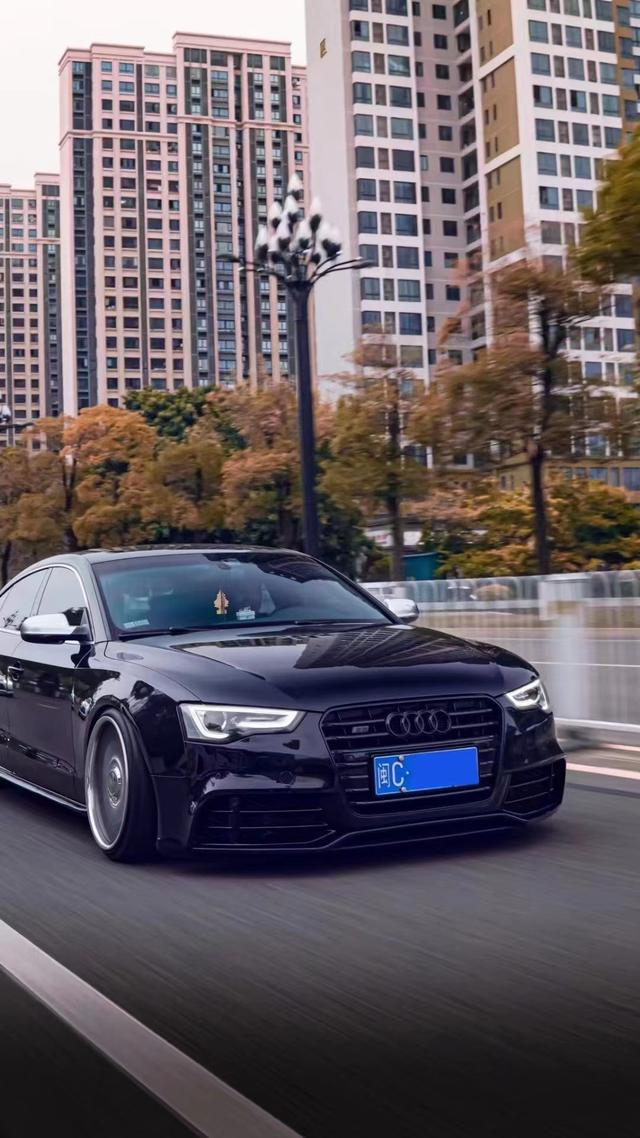 Case sharing of Audi S5 modified AIRBFT pneumatic shock absorber with ...