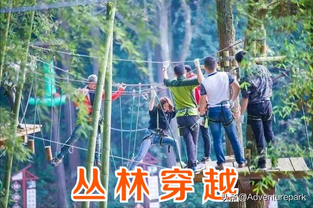 Jungle Crossing: Do you want to go to the beautiful and fun Simian ...