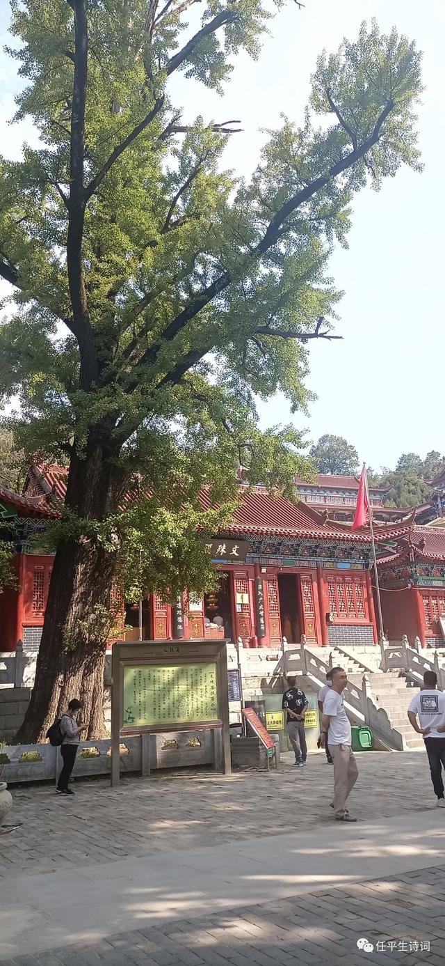 "Column" Appreciation of Ren Pingsheng's Works: "Sauvignon Blanc: Gift ...