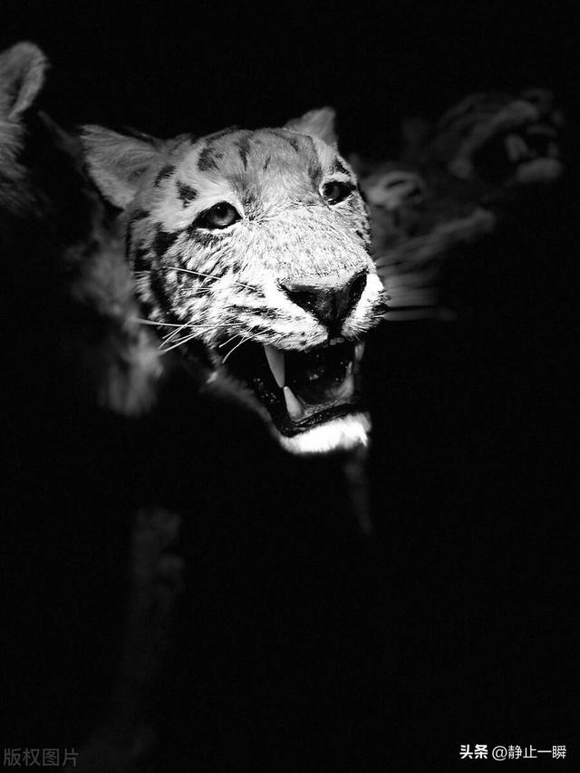 Childhood fun to explore the stories of Chinese monsters! - iNEWS