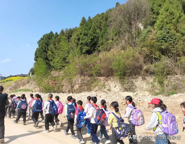 Live up to the spring and go on an outing, teachers and students go ...