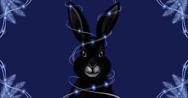 Be careful in the Year of the Black Rabbit!Use 4-color wallets for fear ...