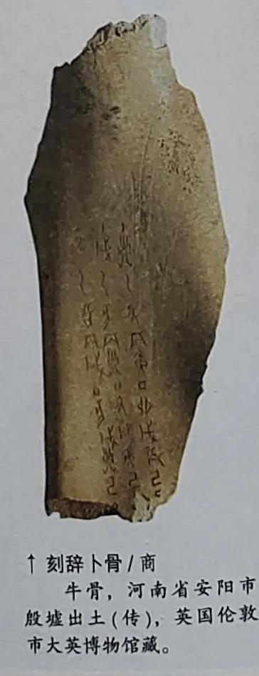 Yang Puyi: Famous oracle bone inscriptions at home and abroad - iNEWS