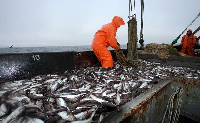 No longer satisfied with only selling fish raw materials, many aquatic ...