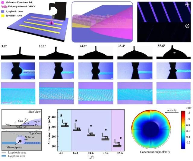 The research group of Song Yanlin of the Institute of Chemistry has ...
