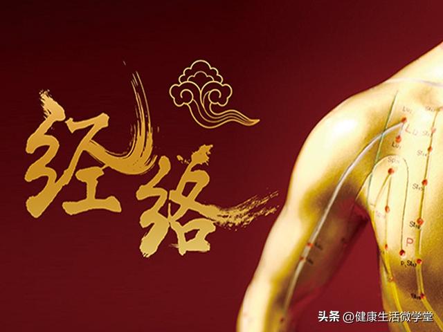 Twelve Meridians Study (5): The Heart Meridian of Hand Shaoyin and the ...