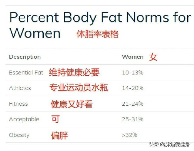 The real body fat scale and body fat percentage, will anyone's cheese ...