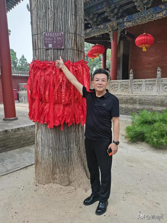 Visit the ancient Chinese tree 01-1400 years old Arborvitae stands tall ...